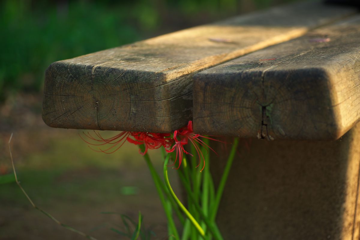 まったくもぉ～～ （ーー； | GANREF