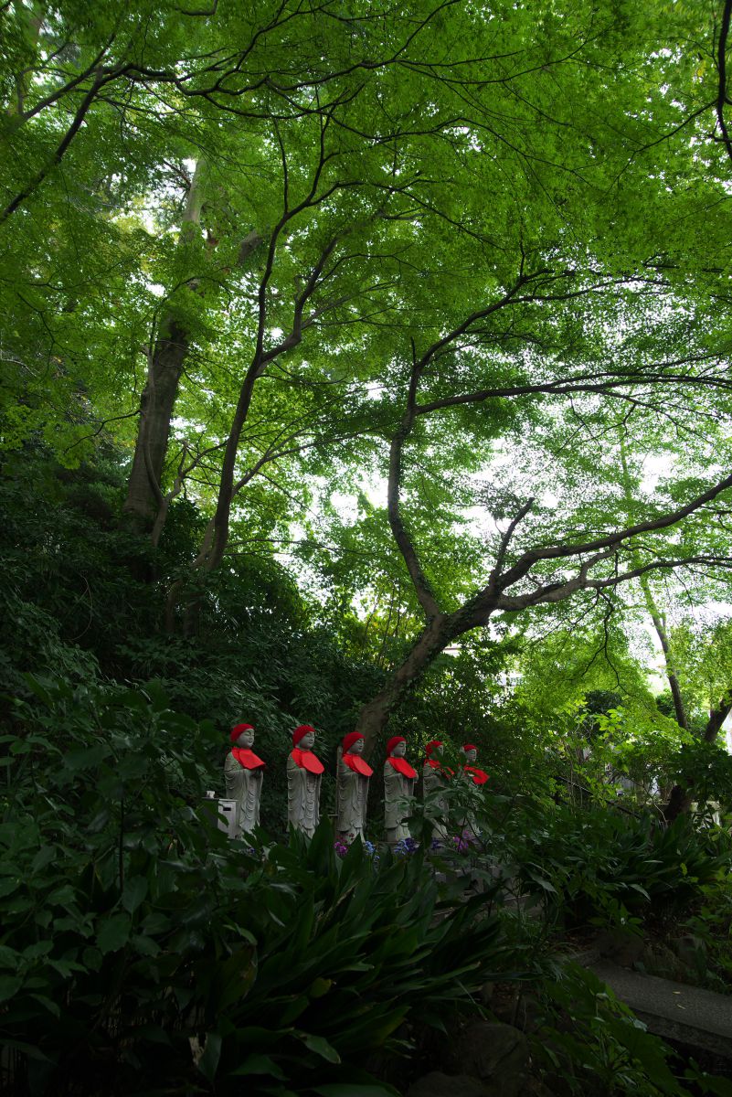 時、静かに進む | GANREF