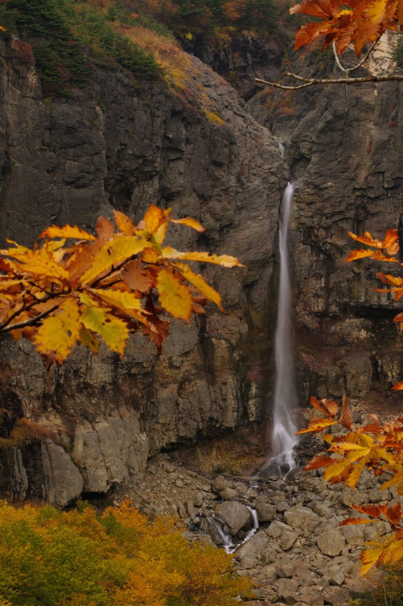 Fall and Falls | GANREF