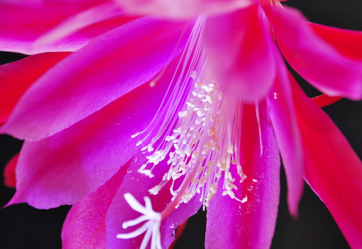 LEDを照らしてみました！ | GANREF