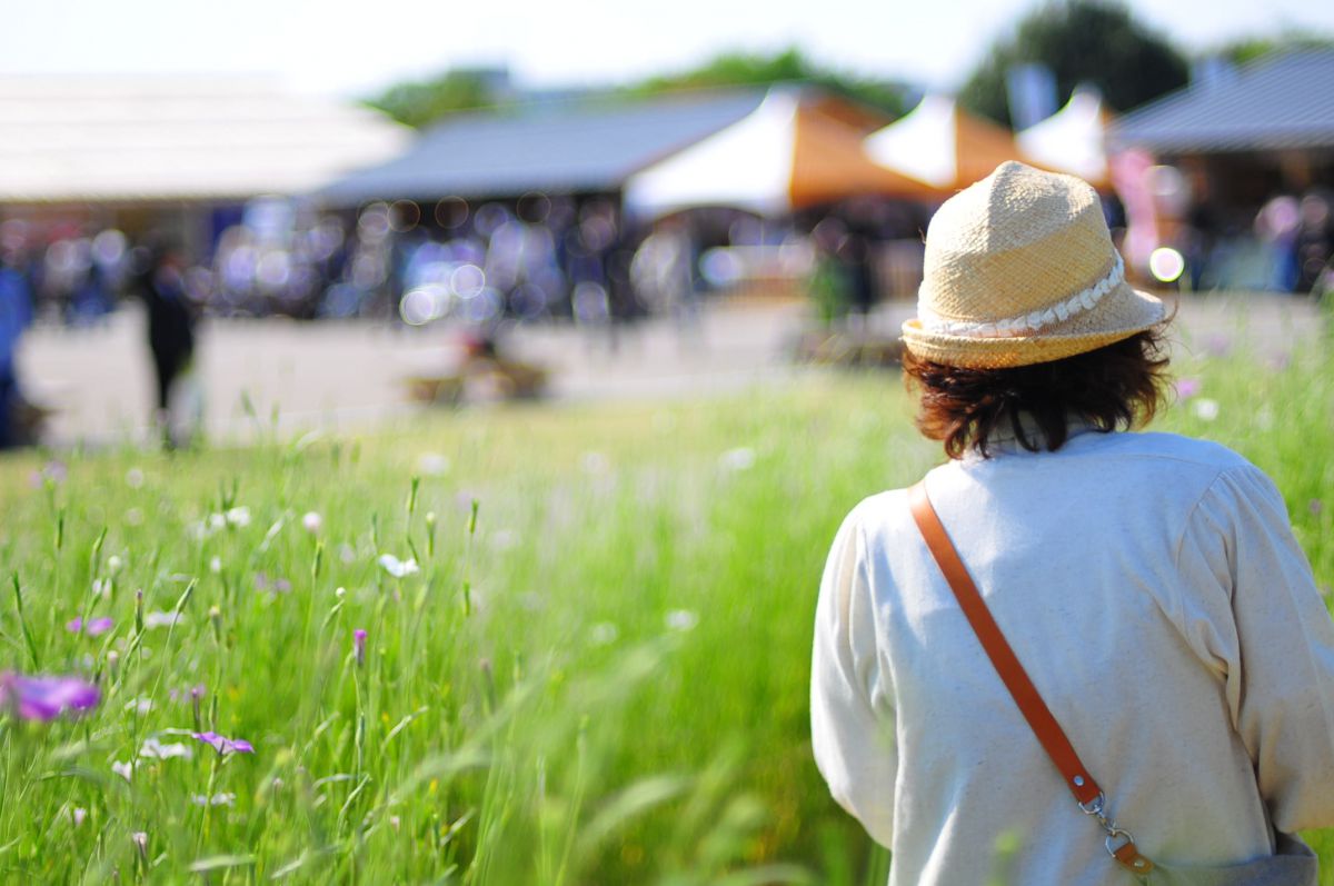 優しい日差し | GANREF