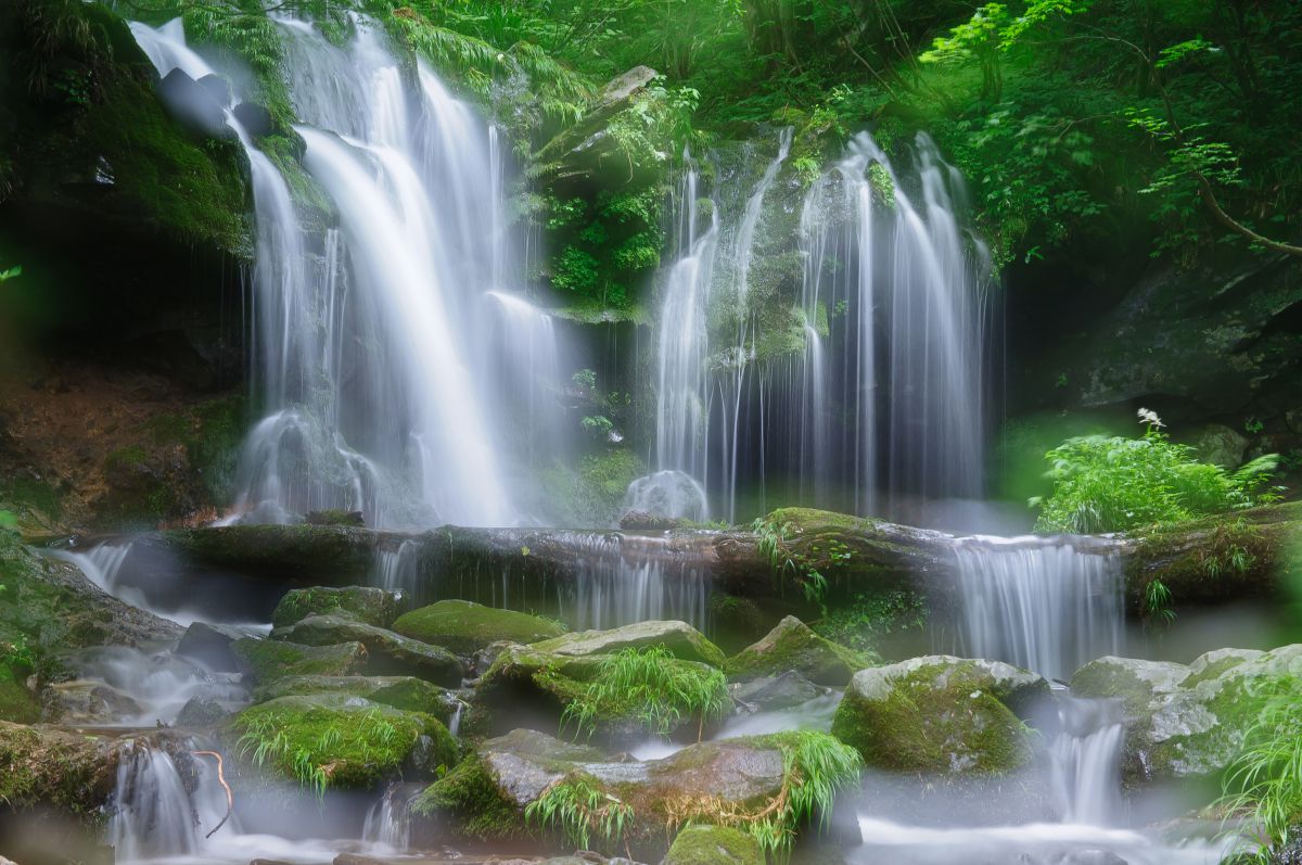 Dressed in the mist | GANREF