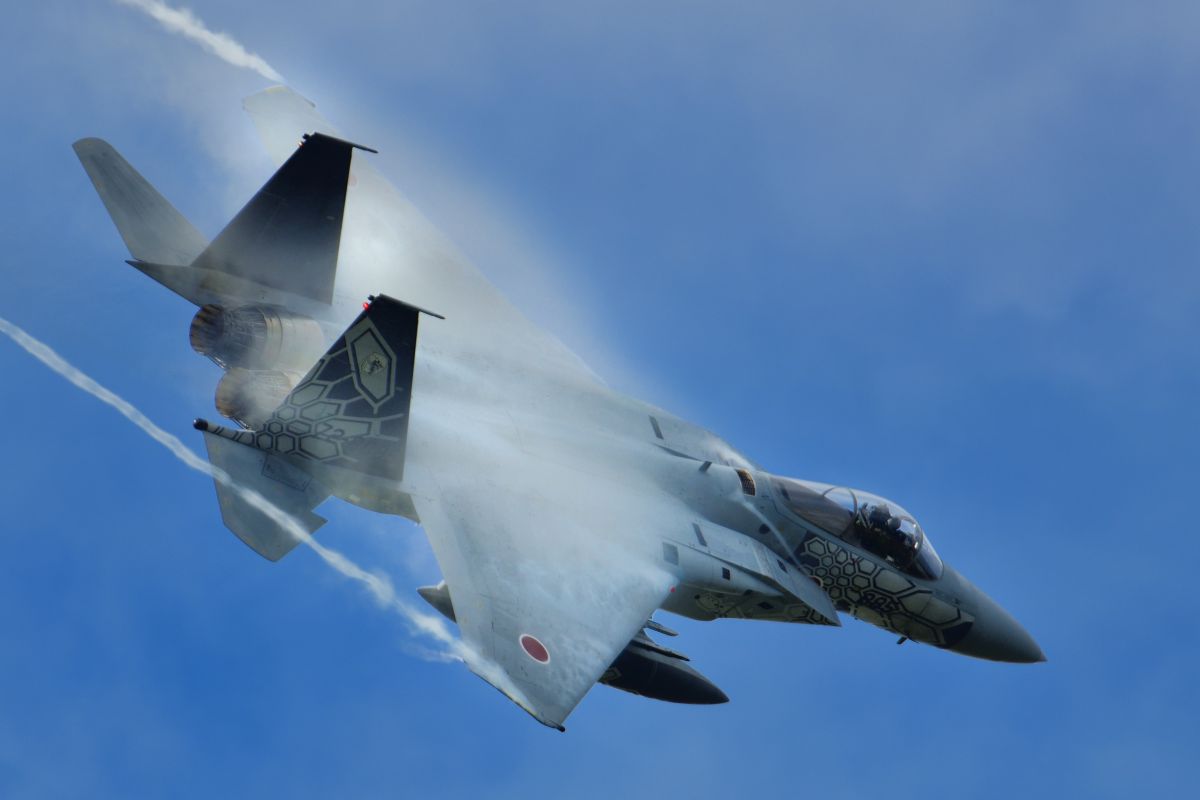 Fighting Dragons | GANREF