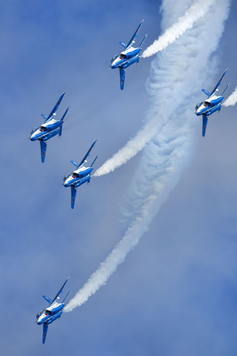 PHOENIX LOOP | GANREF