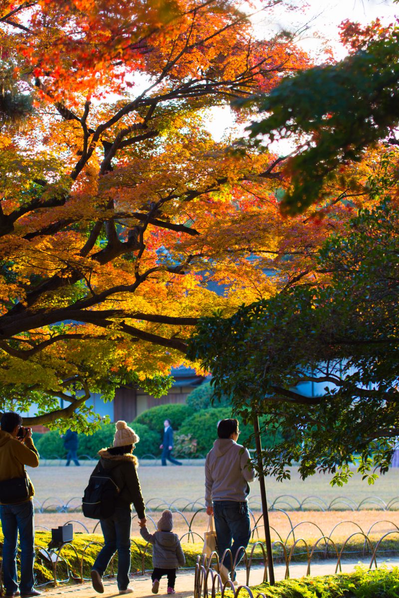 それぞれの休日 | GANREF