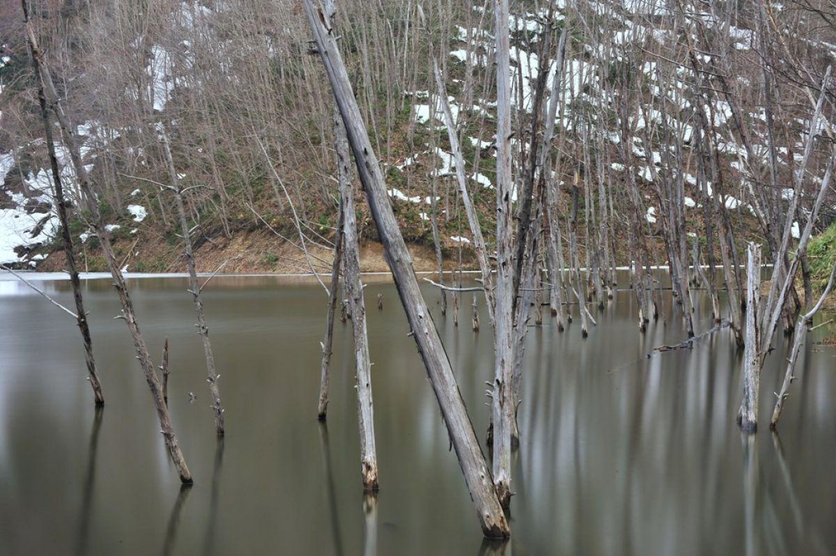 四季のラビリンス | GANREF