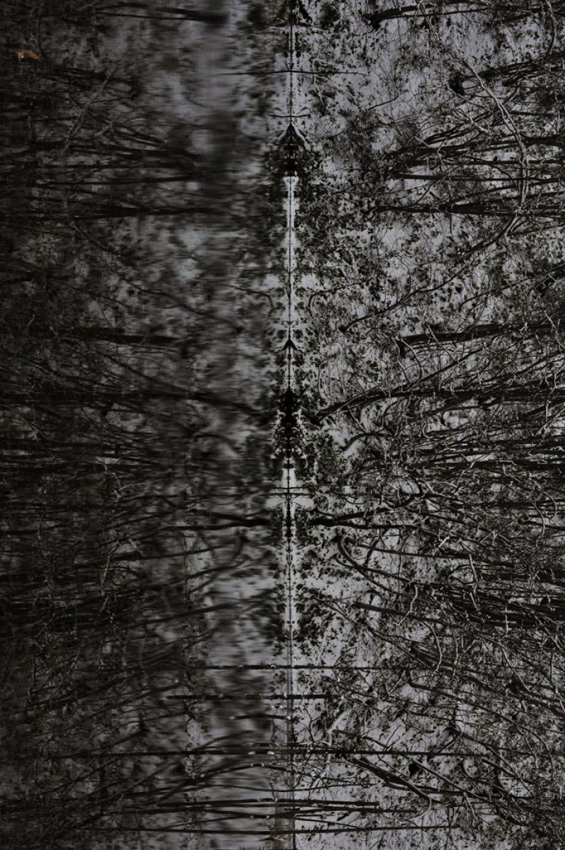 Monochrome labyrinth | GANREF