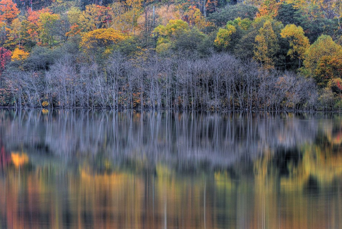 Entrance to a parallel world | GANREF