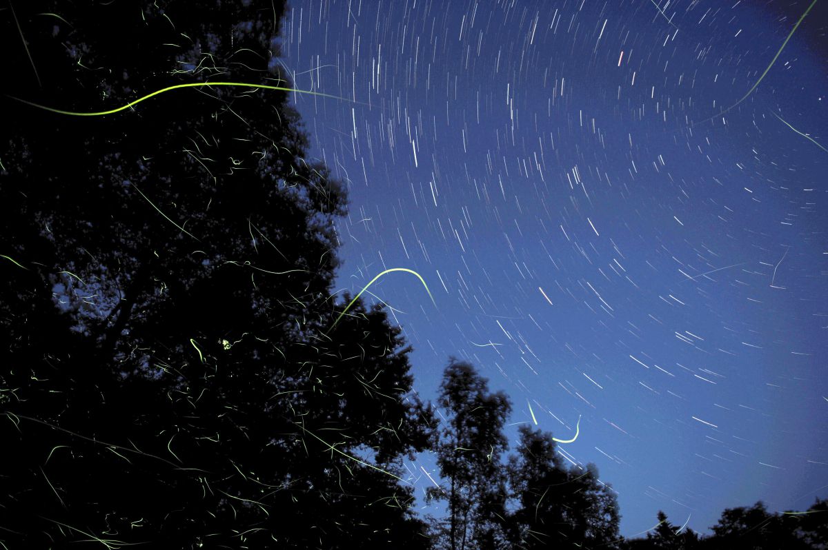 The flow of the star | GANREF