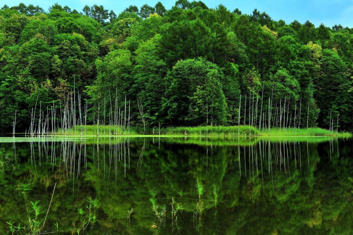 An unexplored area | GANREF