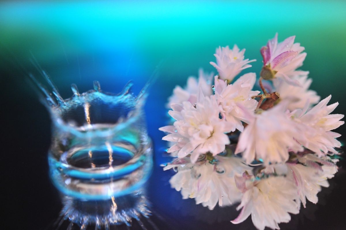 Tears in Heaven | GANREF