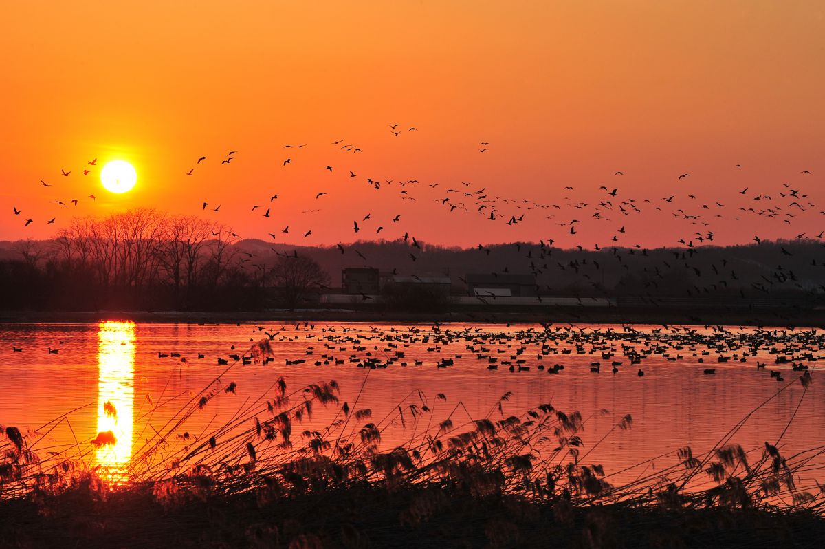 You'd be so nice to come home to | GANREF