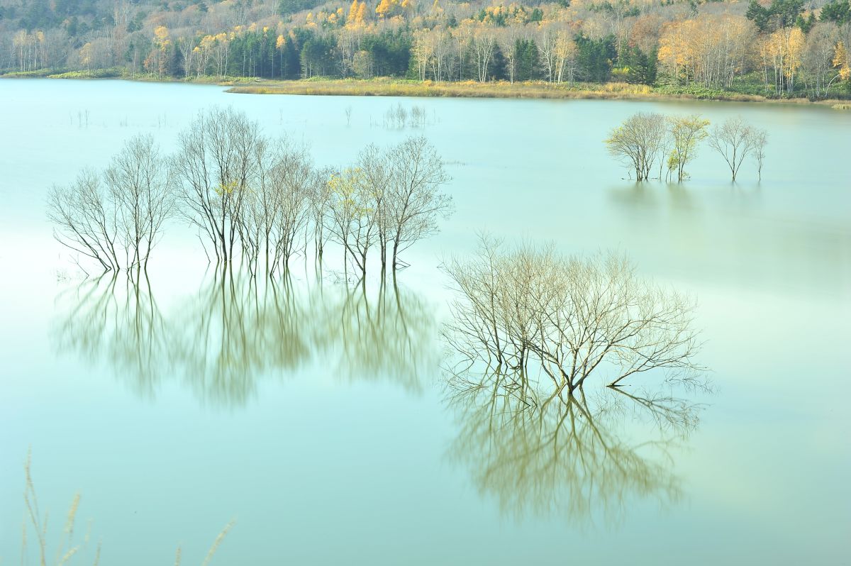 晩秋 : Late fall | GANREF