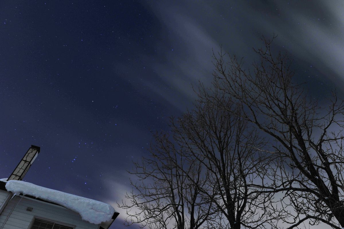 Orion on a chimney of my home | GANREF