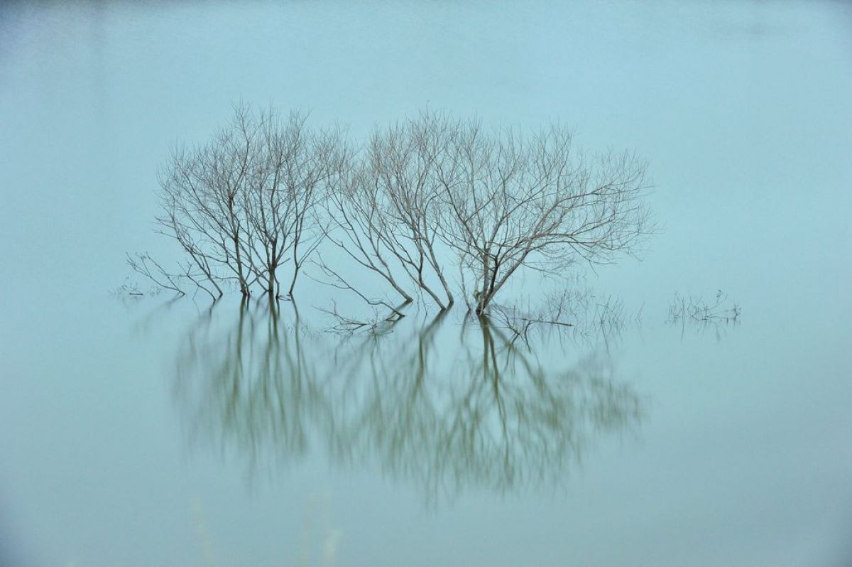 Forever together | GANREF