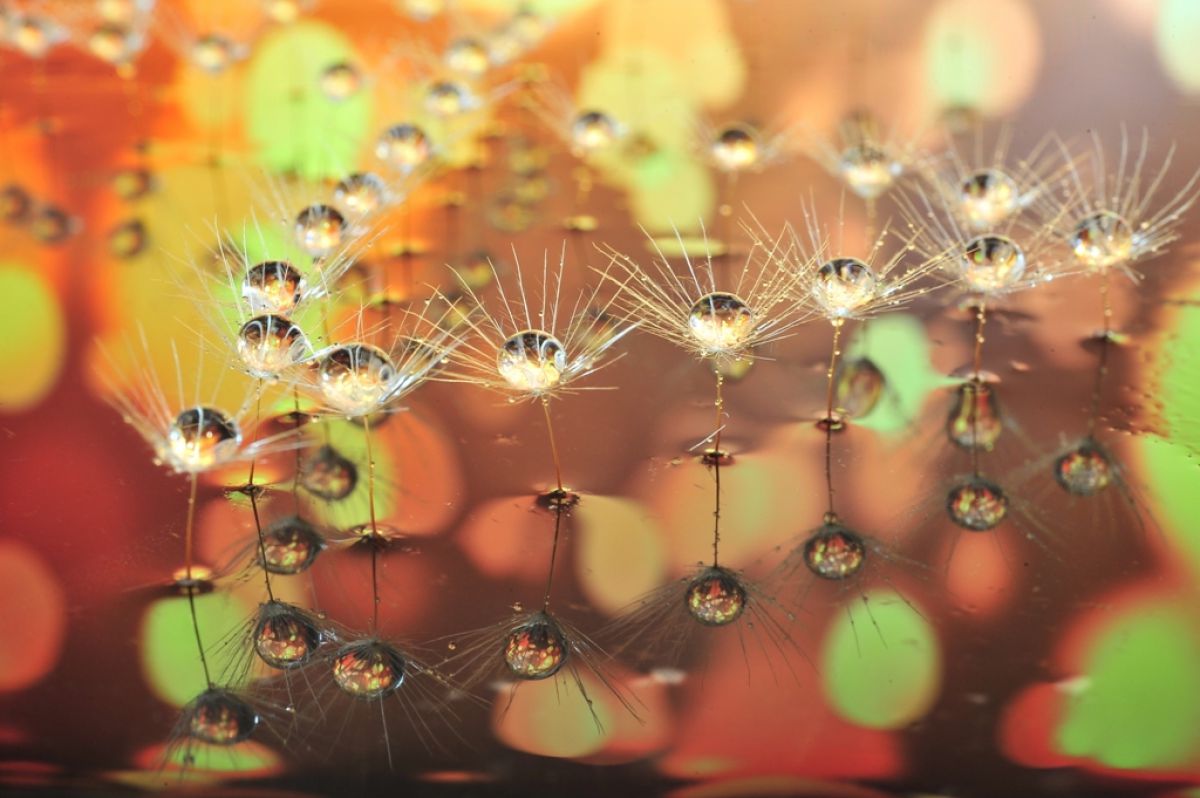 Dance Floor | GANREF