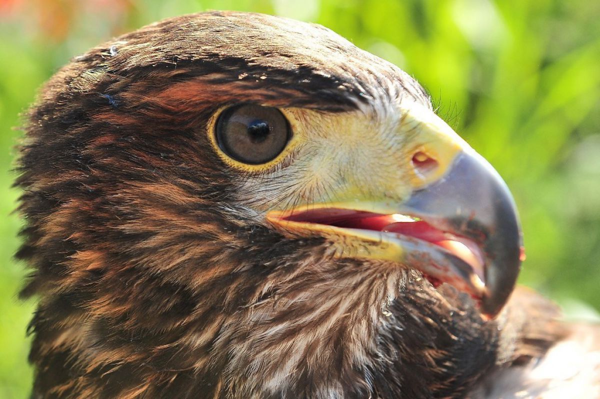 Eating time | GANREF