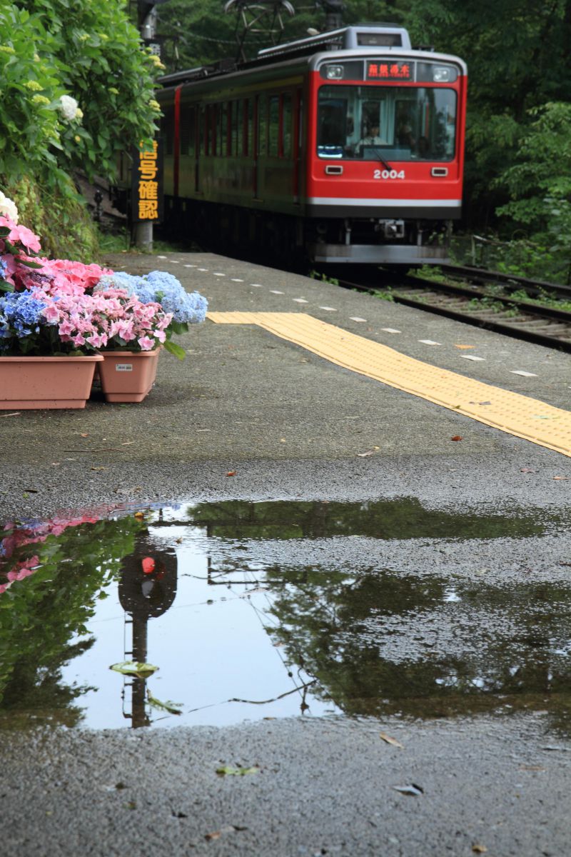 信号確認 | GANREF