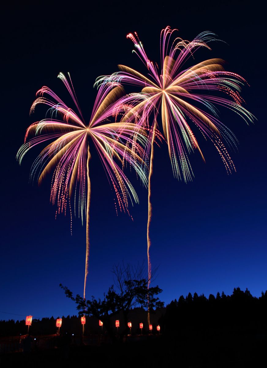 colorful palm tree | GANREF