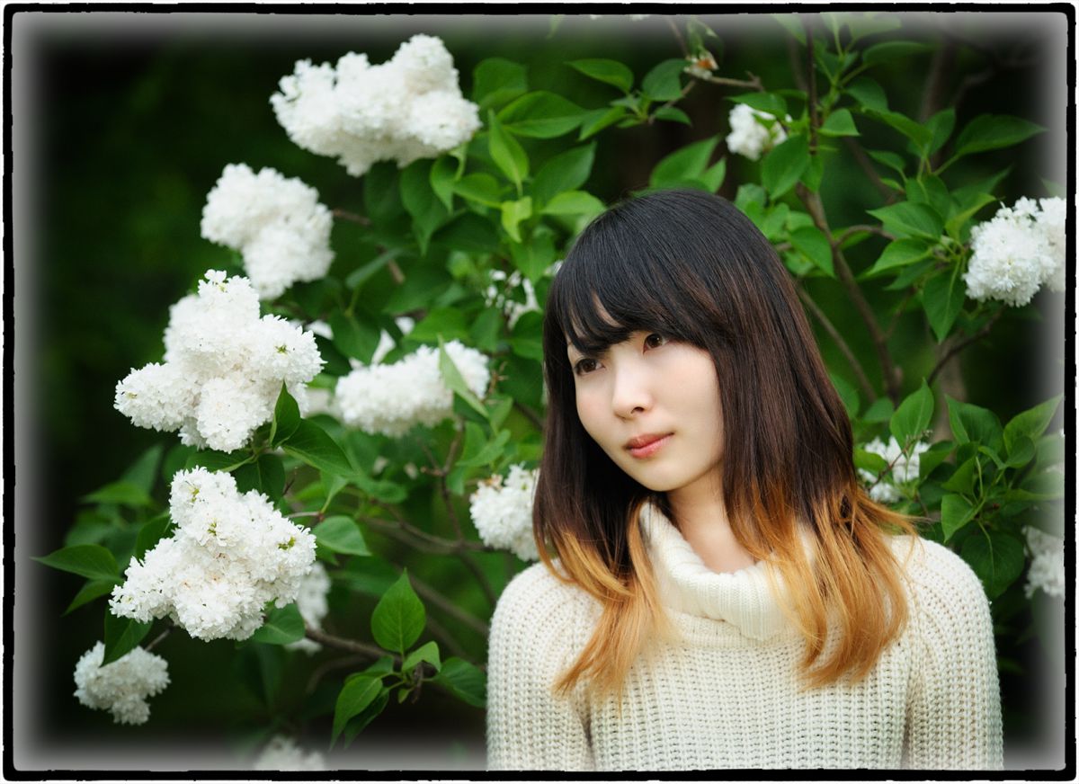 ポートレート601 | GANREF