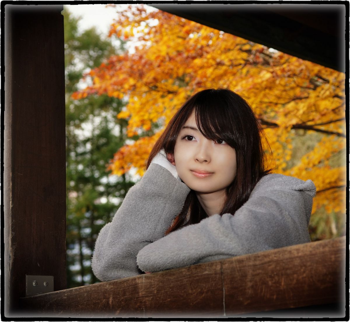 ポートレート475 | GANREF