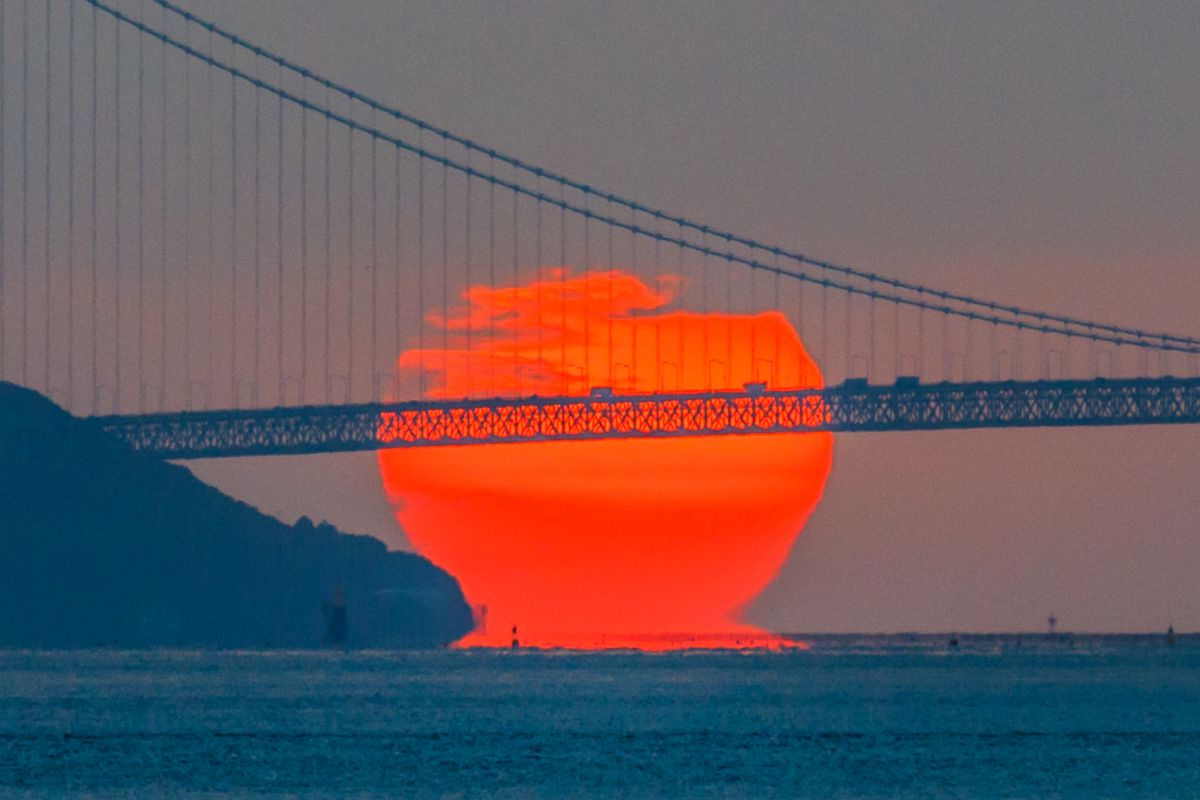 達磨夕日296 | GANREF