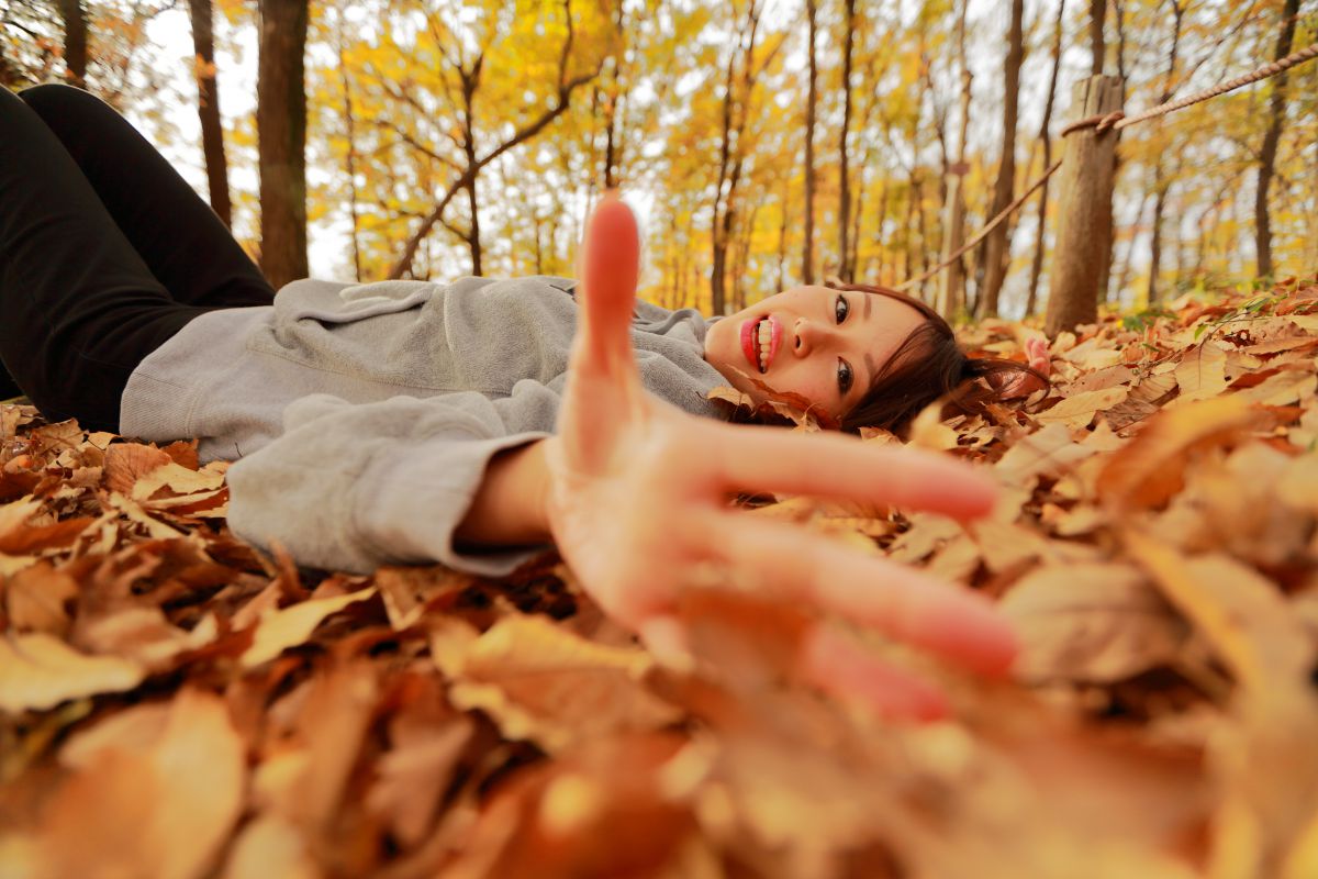 Fall leaf Carpet | GANREF