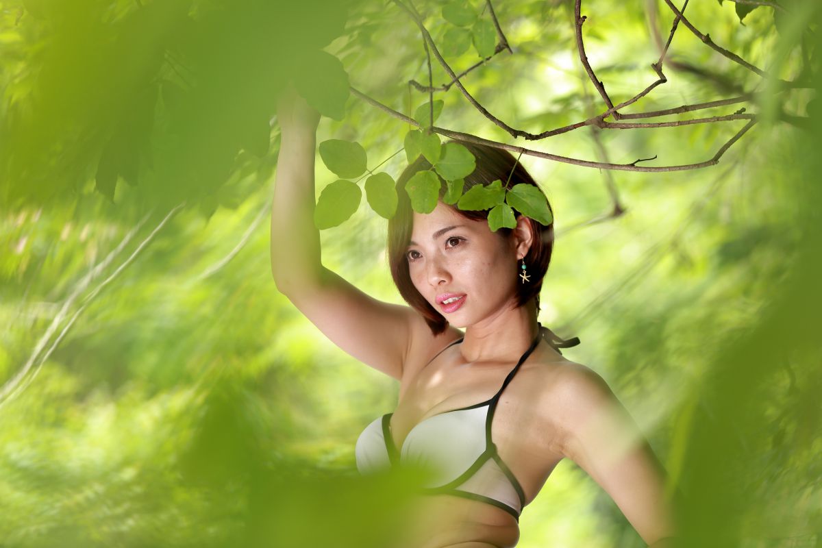 Leaf ornament | GANREF