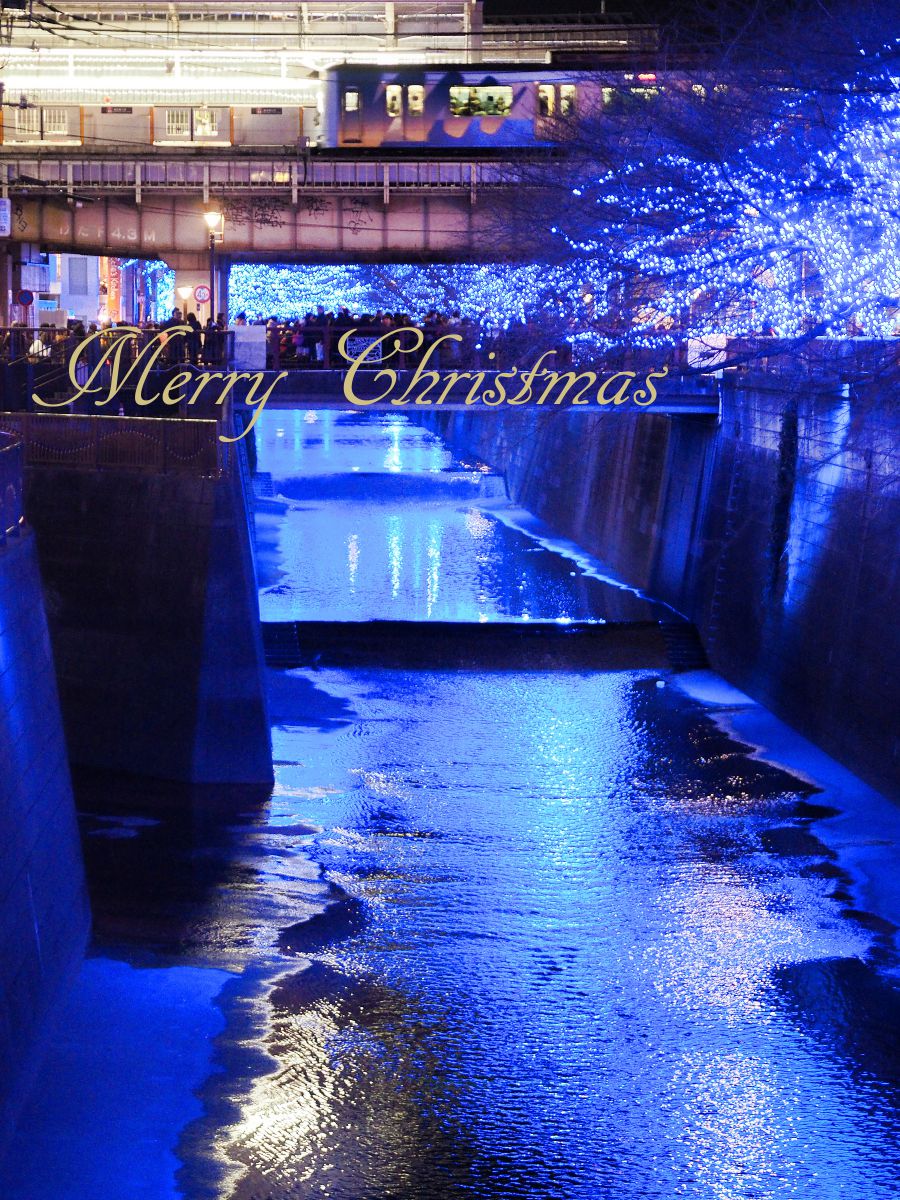 Merry Christmas!! | GANREF