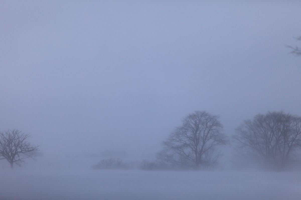 Whiteout... | GANREF