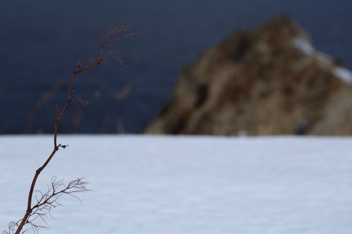 耐え忍ぶ II | GANREF