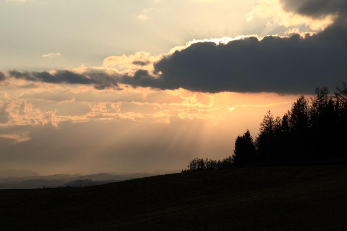 Shower in the morning sun | GANREF