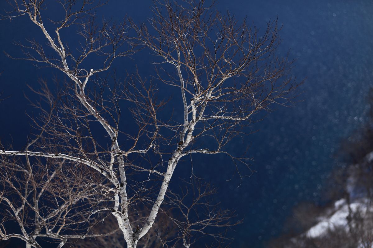 Memories of Blue... | GANREF