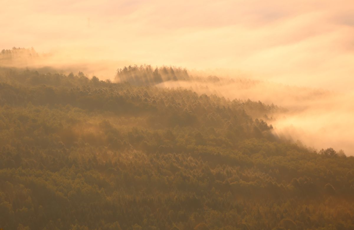 It's showtime. | GANREF