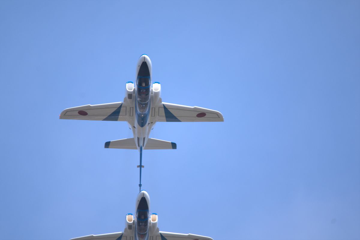 ブルーインパルス | GANREF