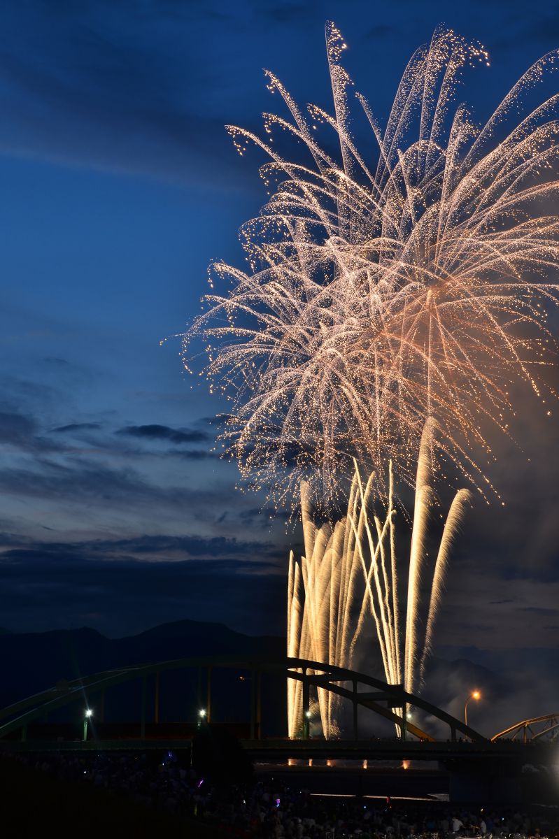 安倍川に咲く | GANREF