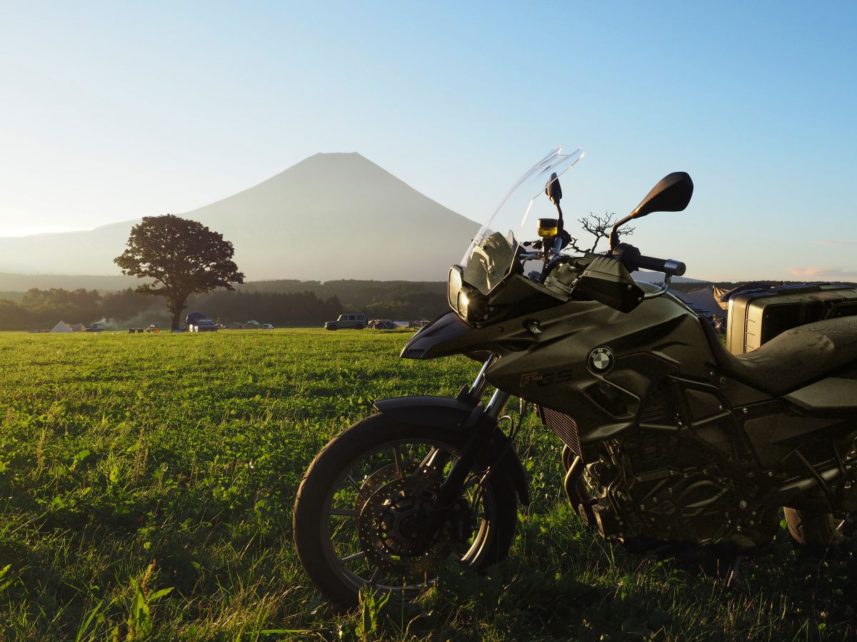 Like a Rolling Stone | GANREF