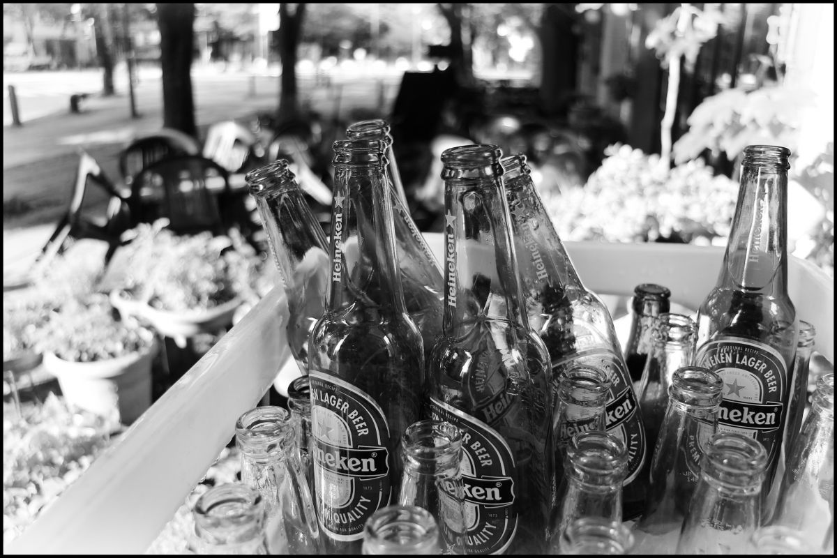 After the Party | GANREF