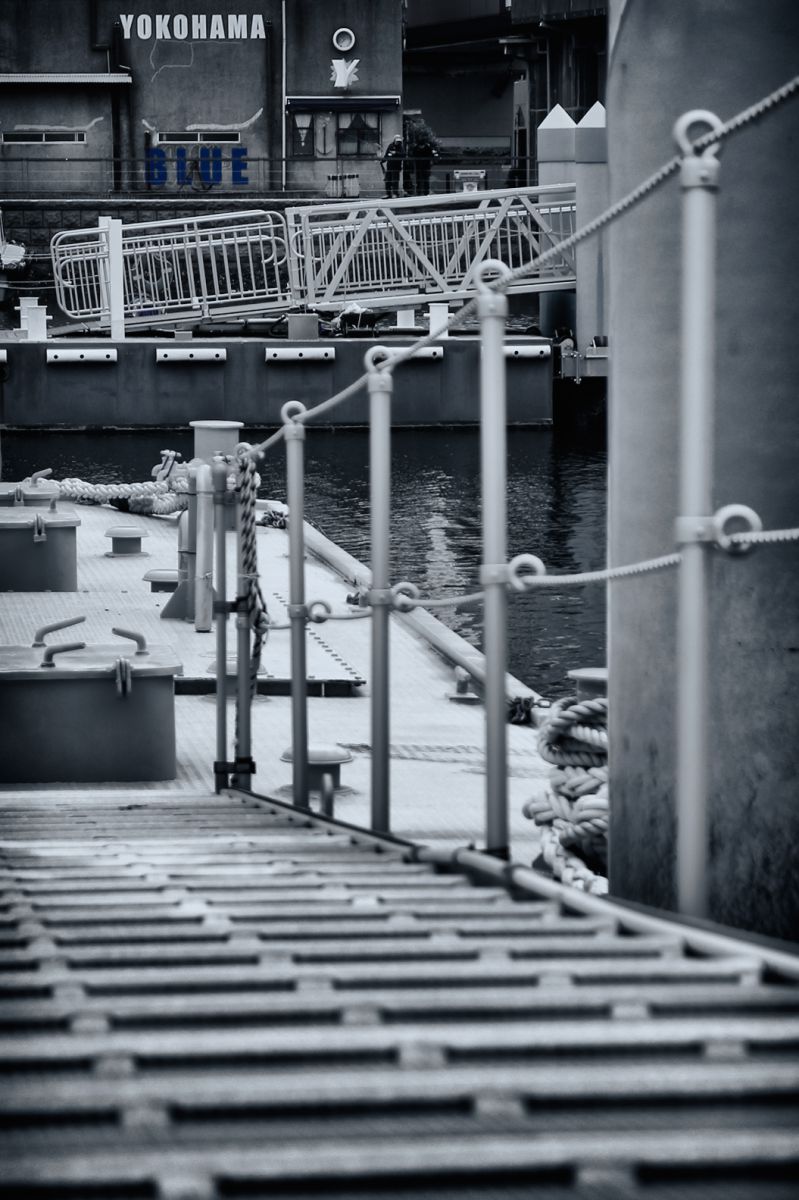 曇天朝スナップ | GANREF