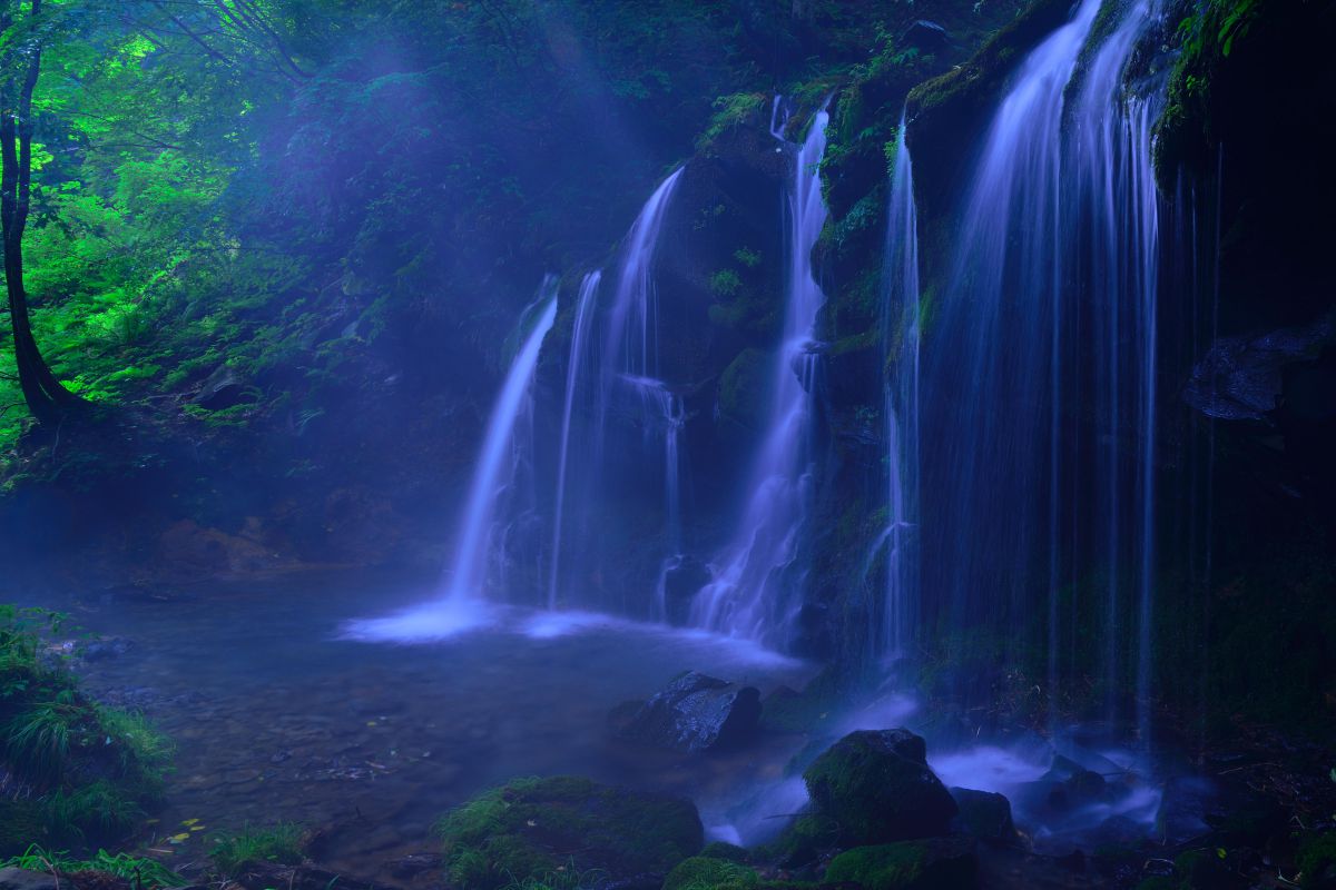 Misty Ravine | GANREF