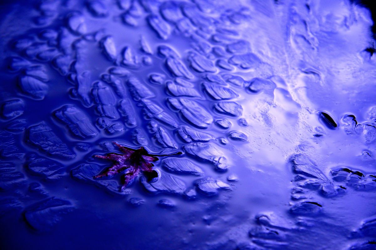 Autumn On Ice | GANREF