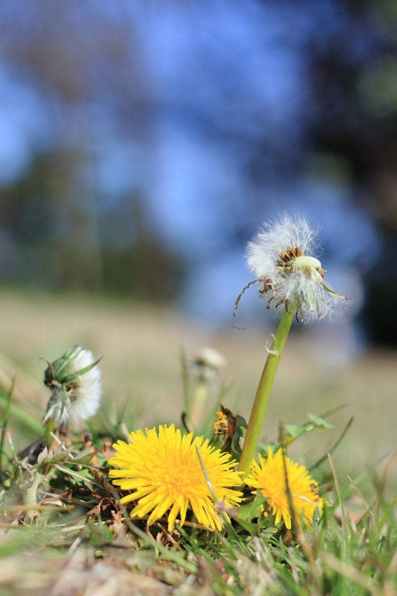春感じる | GANREF