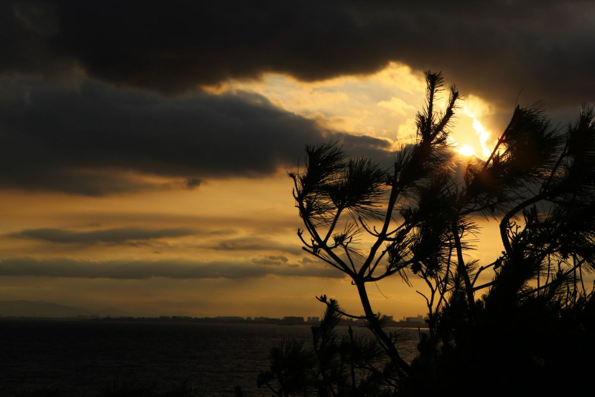 Last summer | GANREF