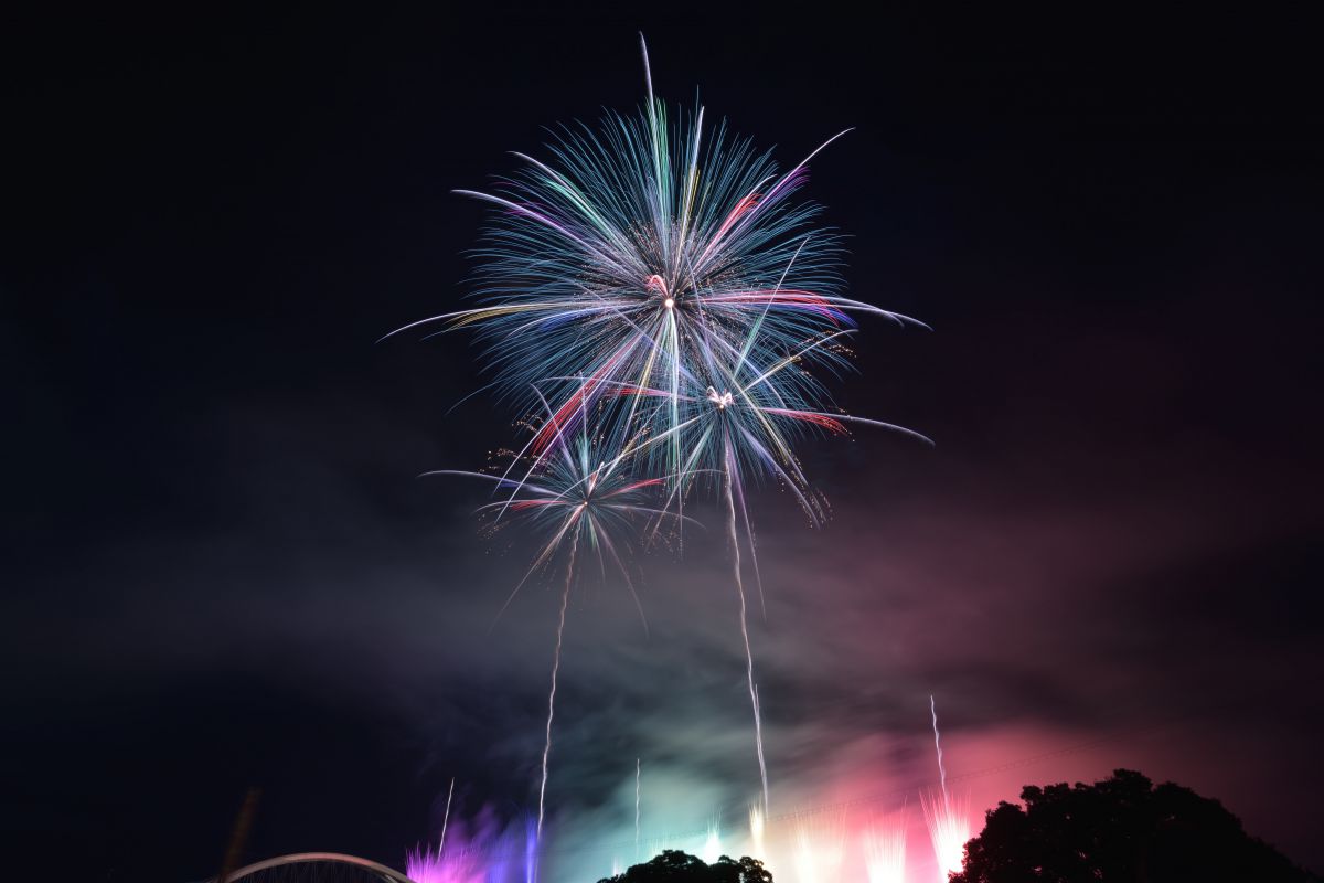 Summer Night | GANREF