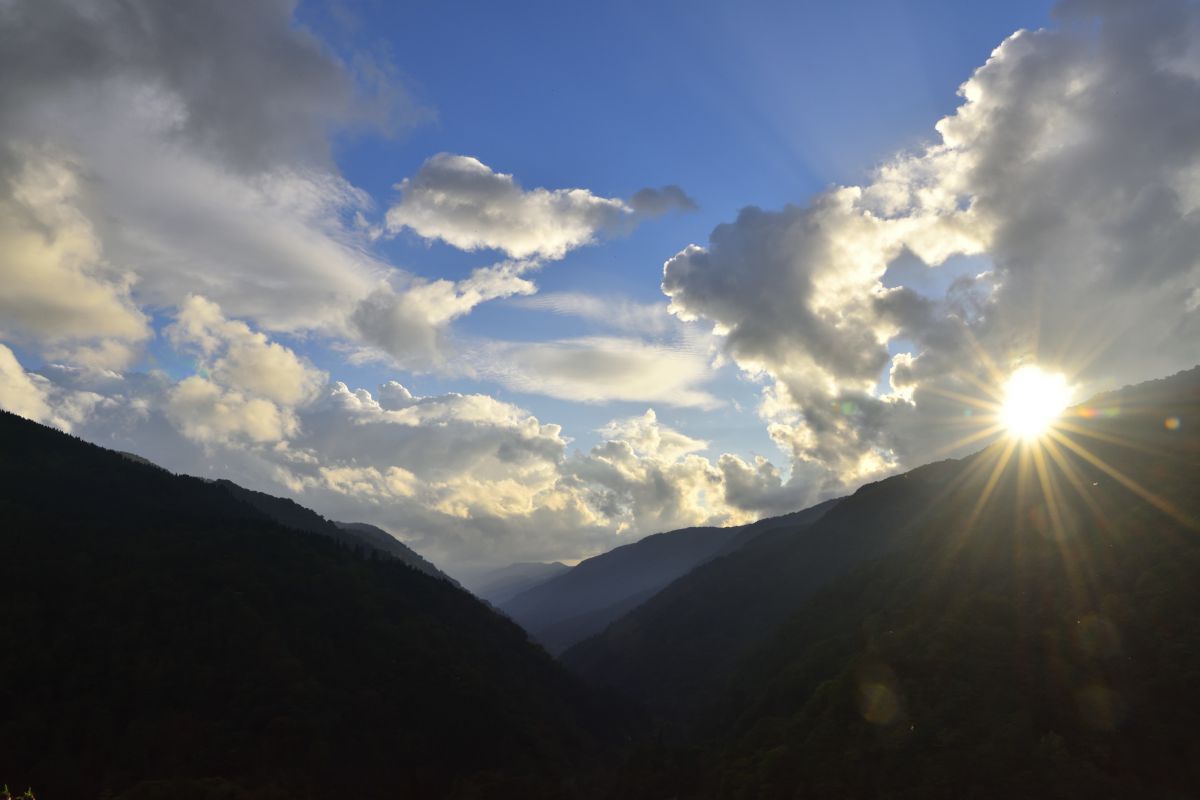 It is perfectly clear | GANREF