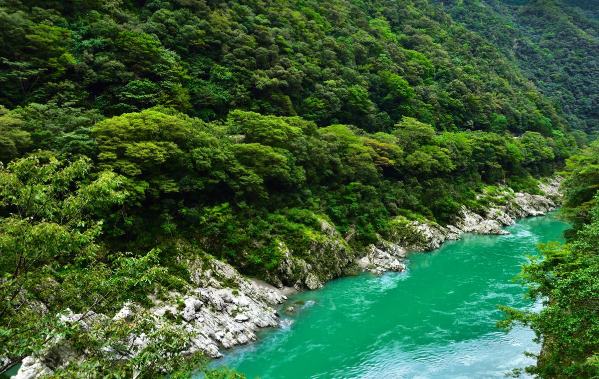 Emerald Valley | GANREF