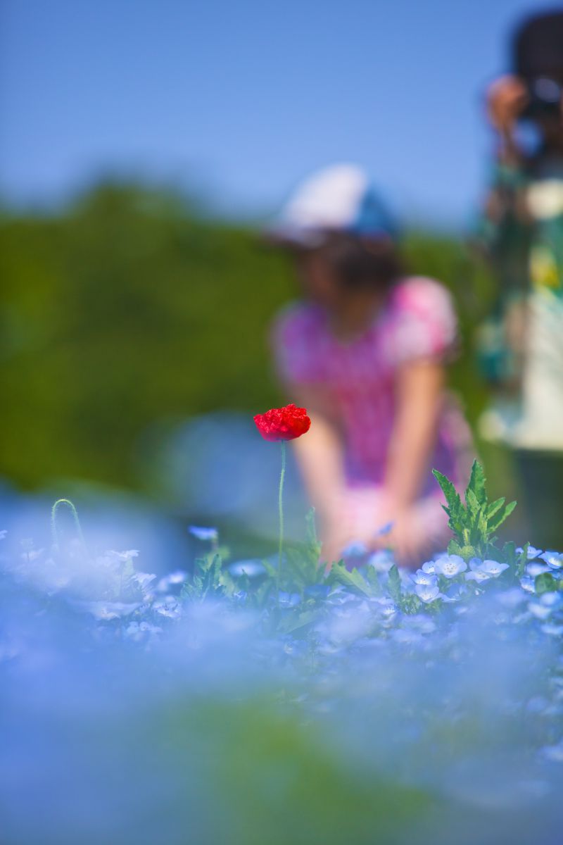 One point... | GANREF