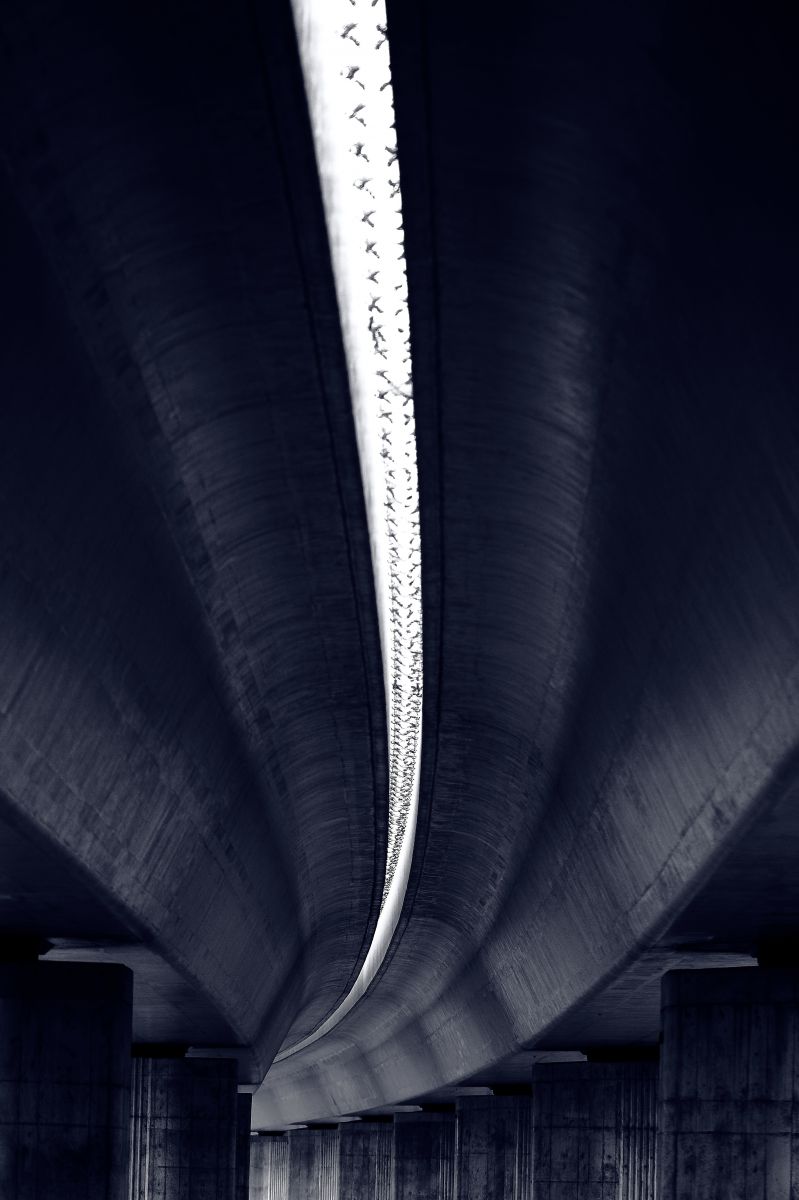 Boundary Line | GANREF