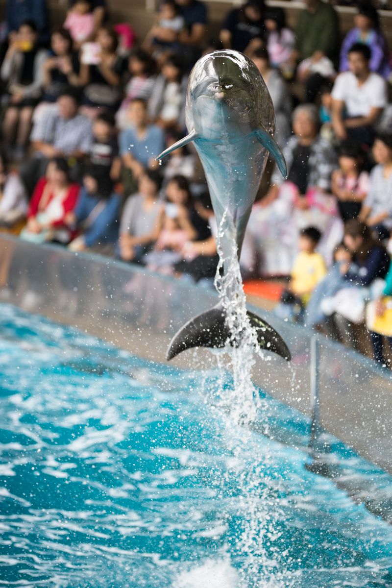 テンションMAX | GANREF