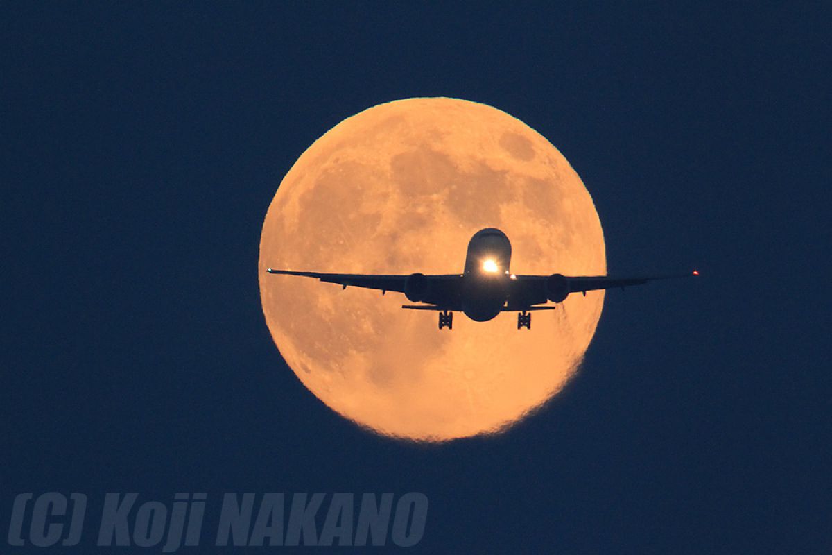 MOON FLIGHT | GANREF